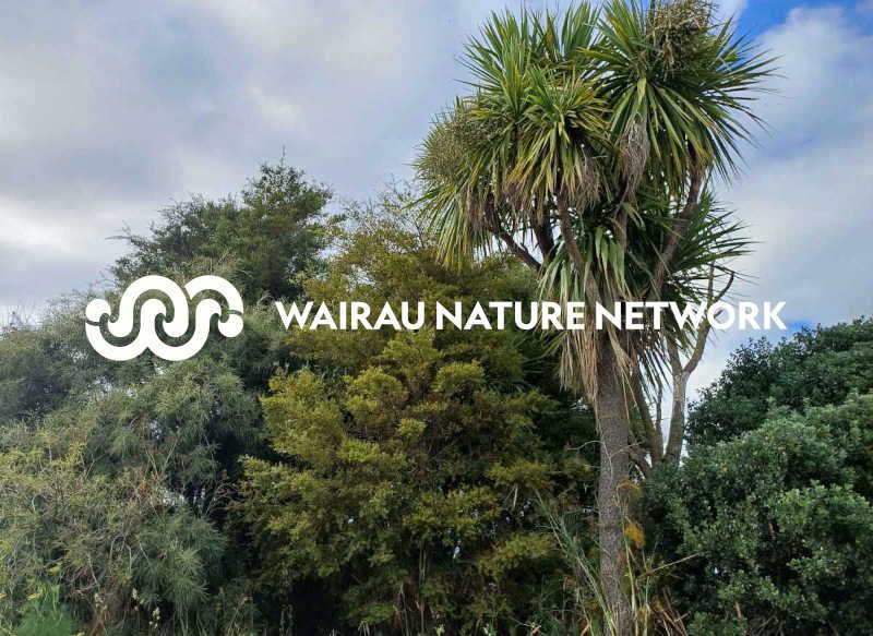 Home | Wairau Nature Network | Wairau Nature Network